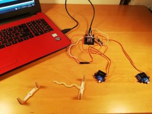 Robotic Rat: Exploring Autonomous Rodent-Inspired Robotics