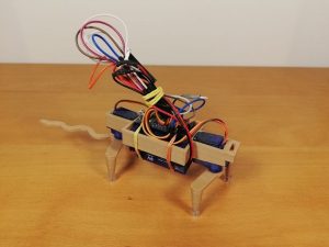 Robotic Rat: Exploring Autonomous Rodent-Inspired Robotics