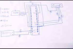 Automatic Food Dispenser From Arduino - duino