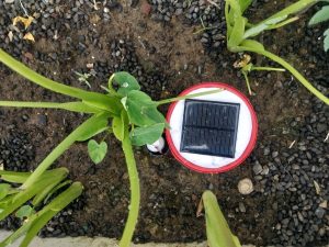 CliSensio - Climate Sensing and Insect Infestation Control - duino